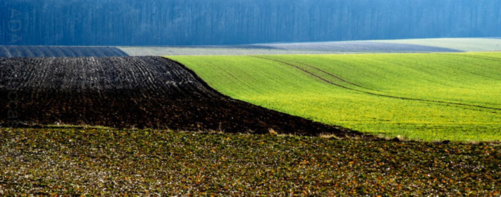 Marchés publics | Léchelle